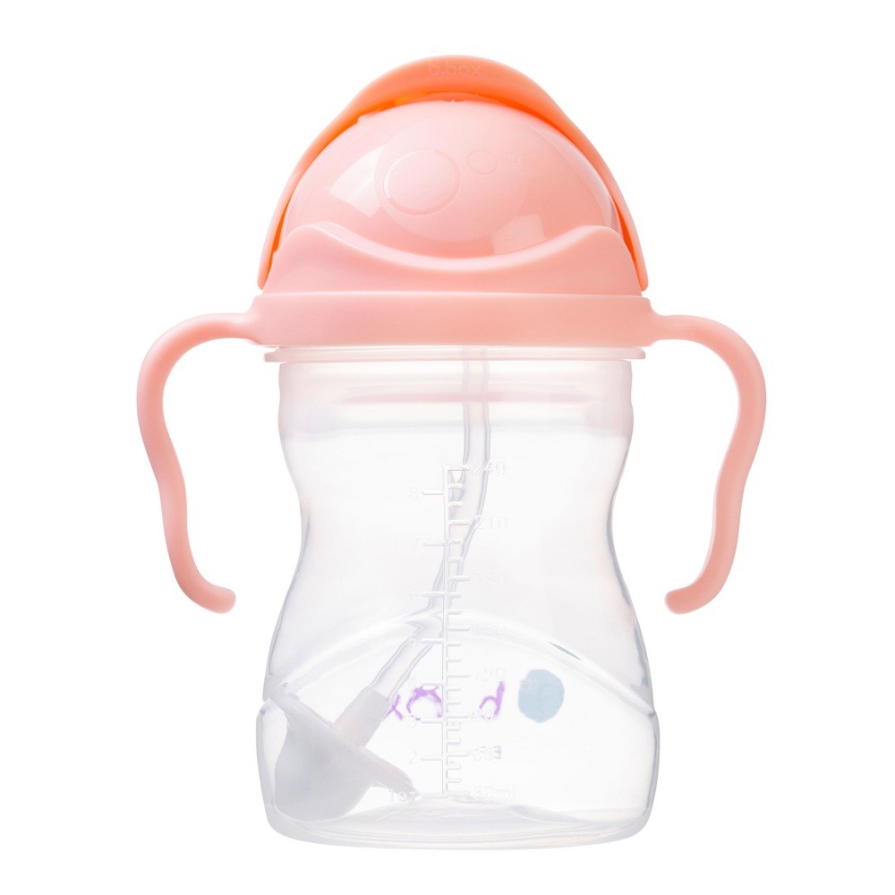 B.Box Sippy Cup Gelato Tutti Frutti | Sippy Cups | Baby Bunting AU