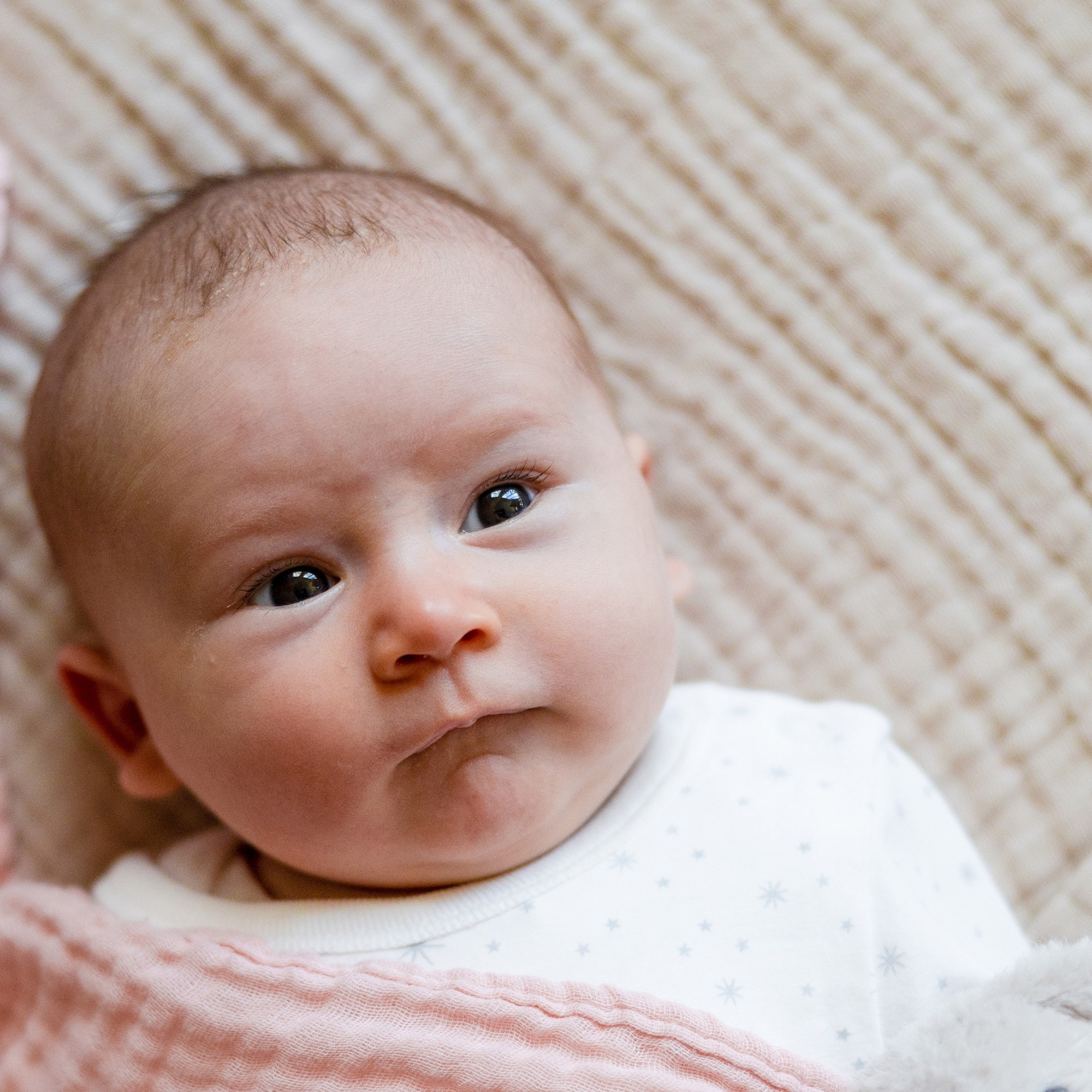 The Little Linen Co. Muslin Wrap Nectar Bear Solid Brown 1 Pack | Wraps ...