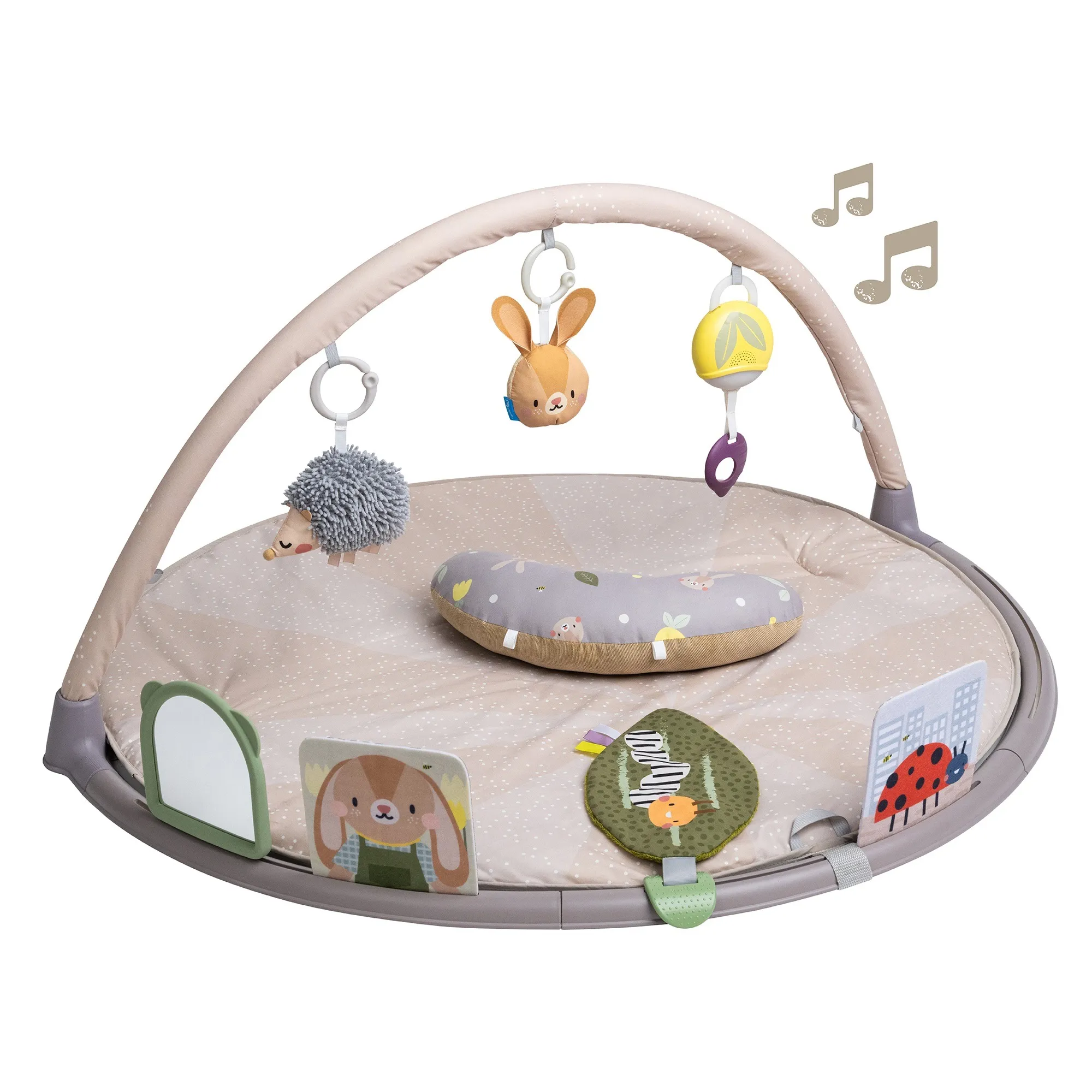 Taf Toys Tummy Time Activity Gym | Baby Bunting AU