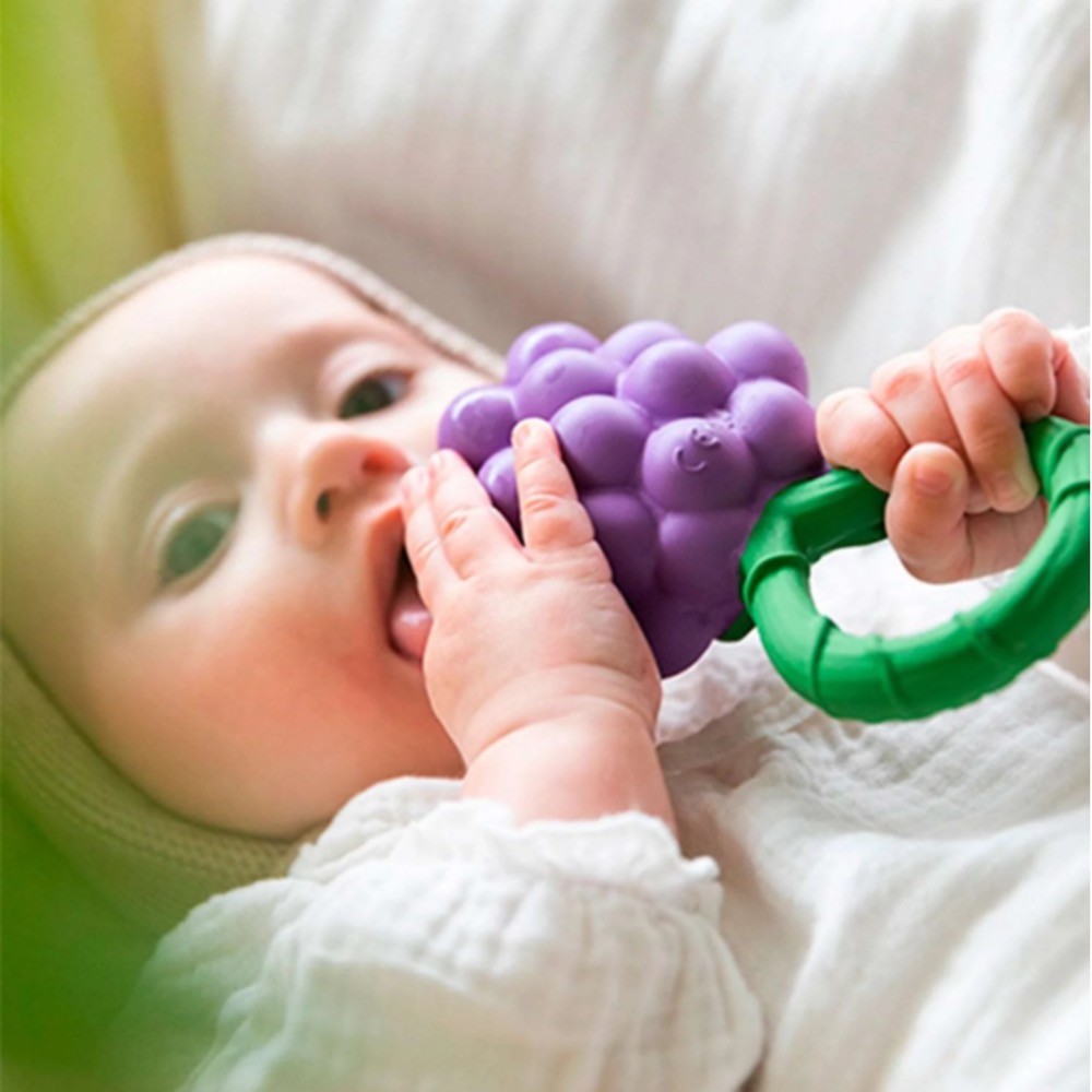 Oli And Carol Rattle Toy Grape | Interactive Toys | Baby Bunting AU