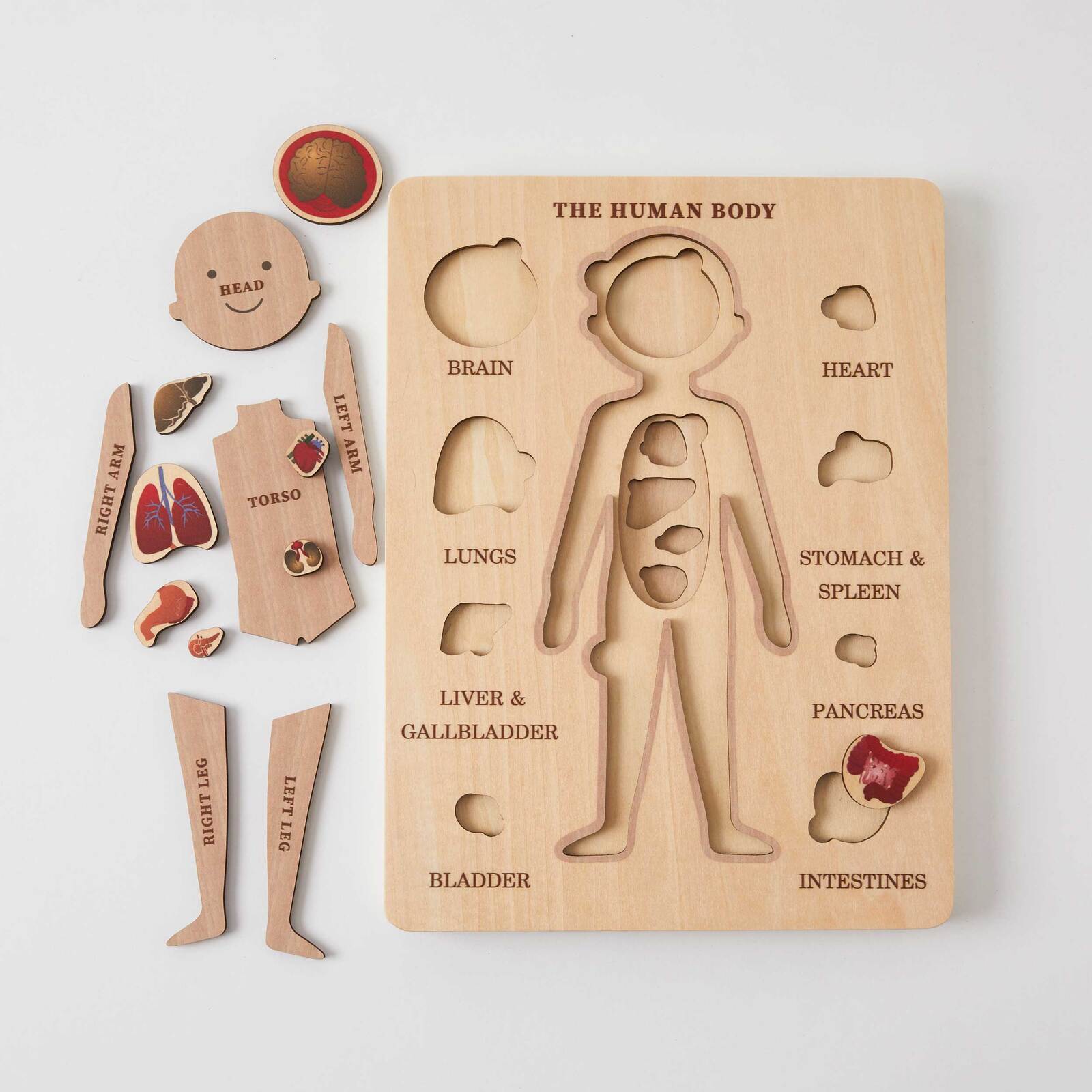 Nordic Kids Childrens The Human Body Interactive Wood Educational Toy ...