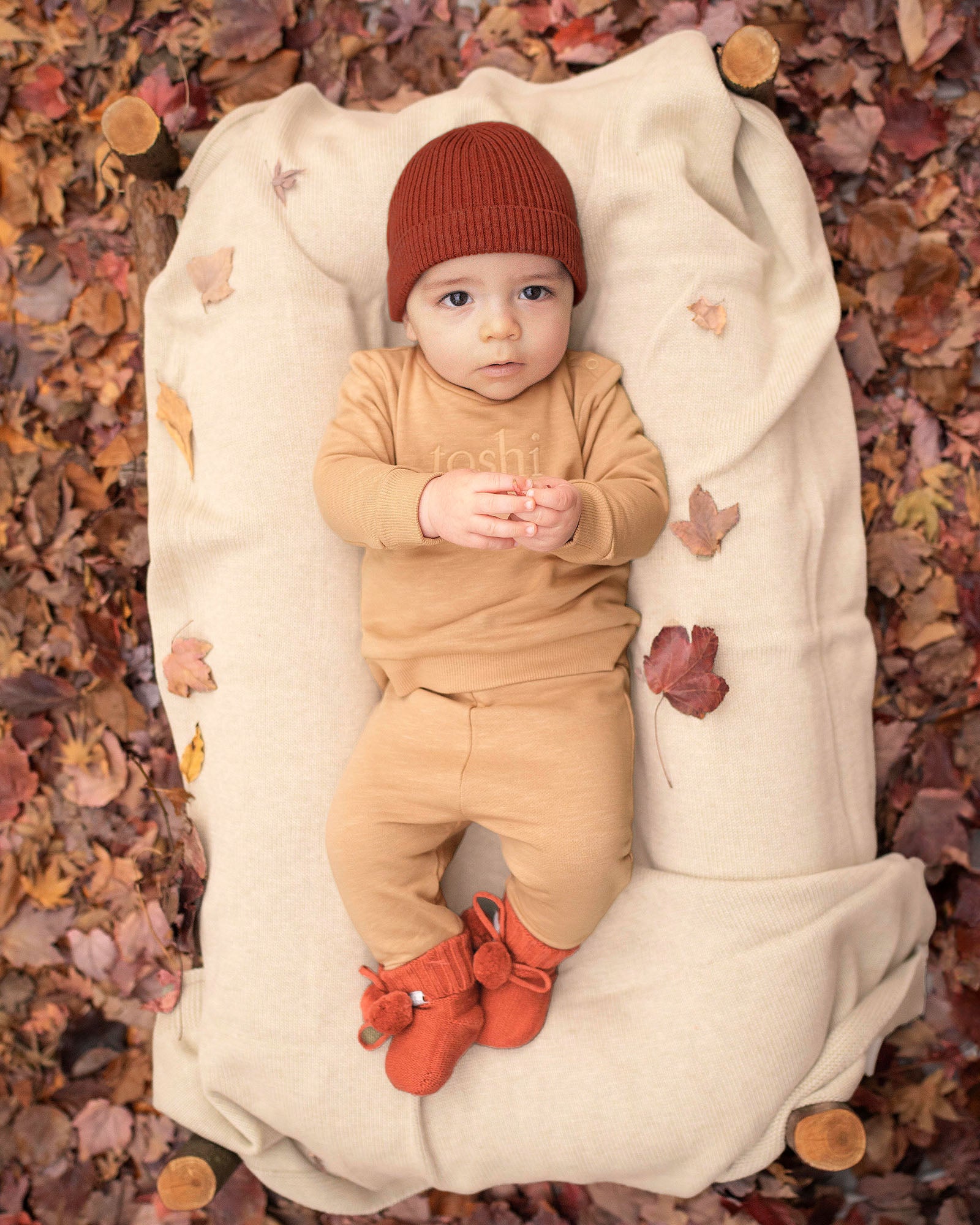 Toshi Organic Beanie Tommy - Red Gum | Baby Beanies | Baby Bunting AU